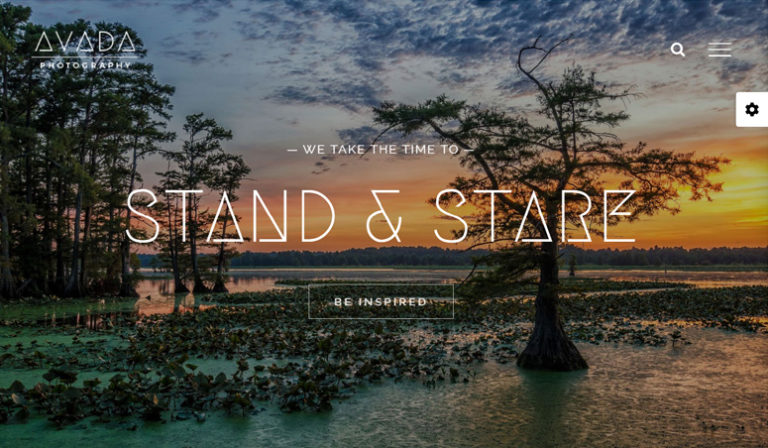 49 Best Photography Themes for WordPress (2021)