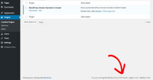 How to Boost WordPress Performance & Speed (Expert Advice)