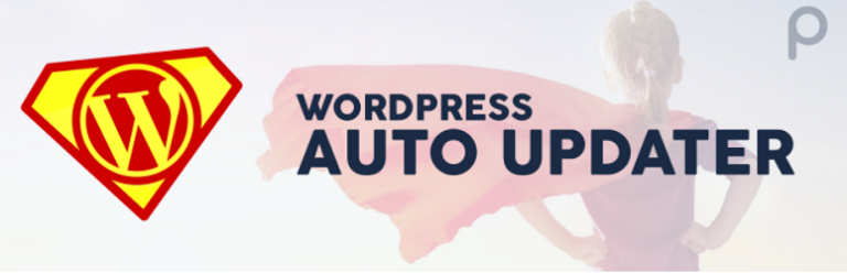6 Best Auto-update Plugins for Your WordPress Site