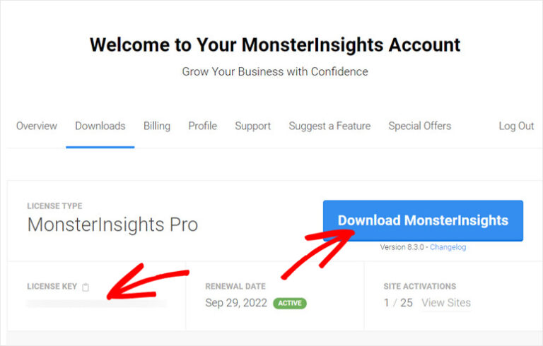 2025 MonsterInsights Review: Best Google Analytics Plugin?