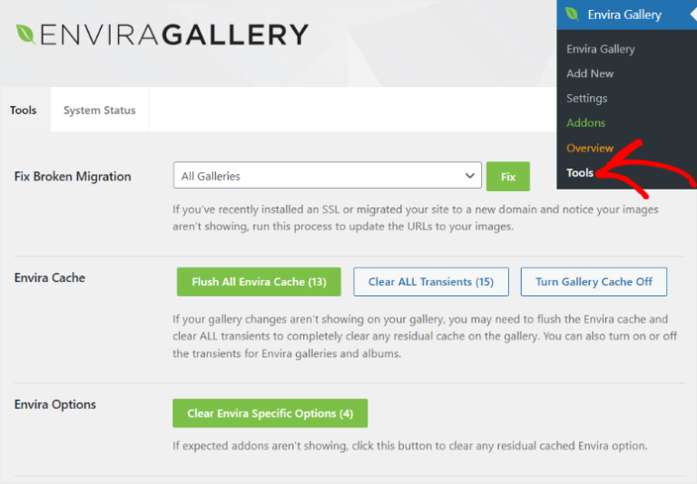 Envira Gallery Review: The Best WordPress Gallery Plugin in 2025