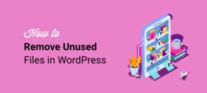 How to Delete Unused Files in WordPress & Free Up Space